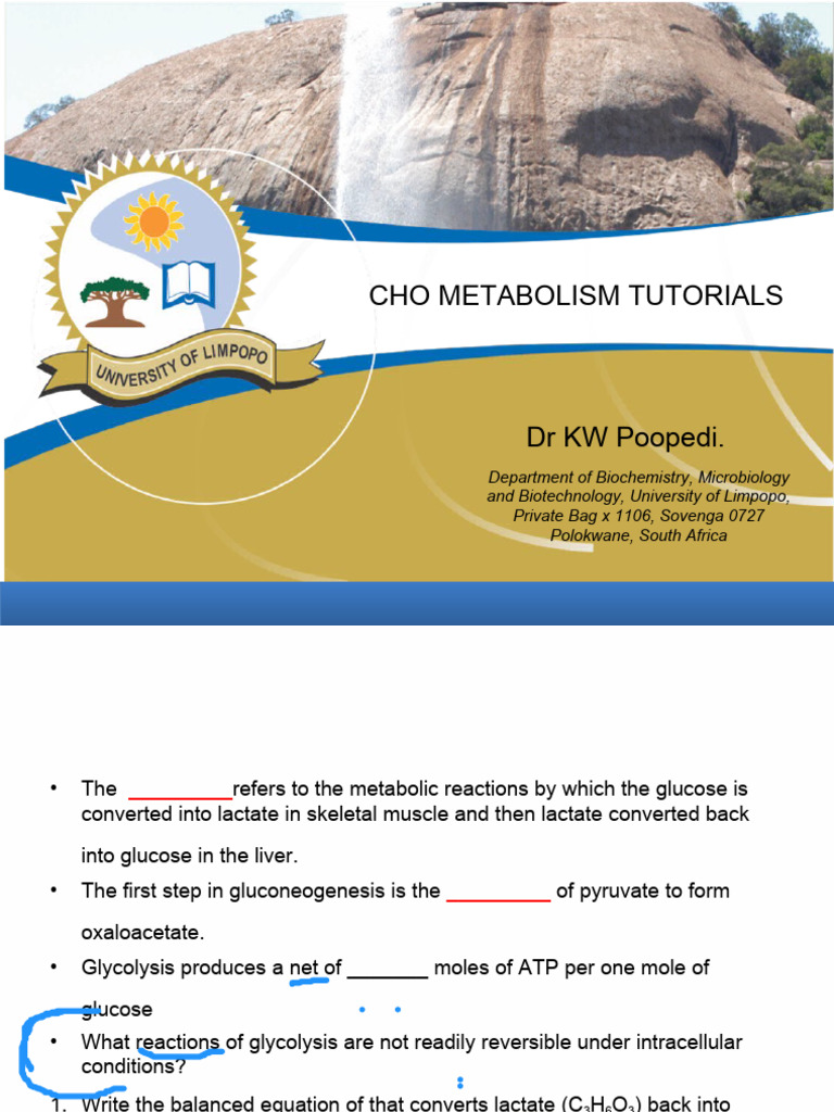 Final Cho Metabolism Tutorial 2024 - Poopedi | PDF | Glycolysis ...