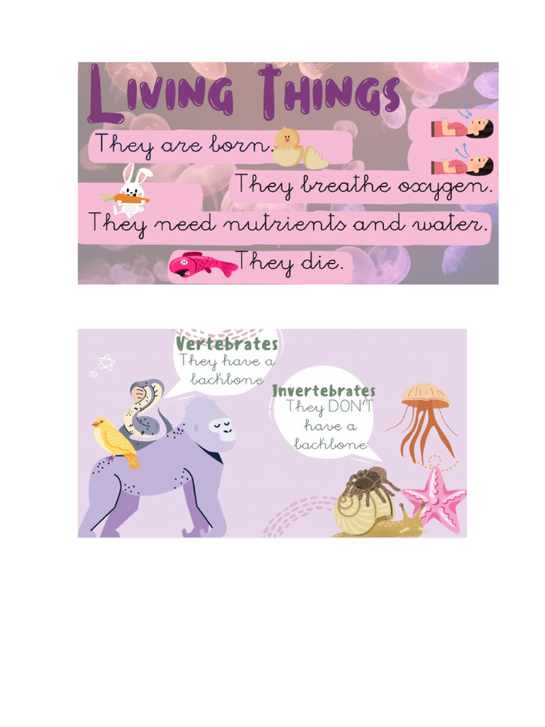 Characteristics of Living Things | PDF | Wellness | Science & Mathematics