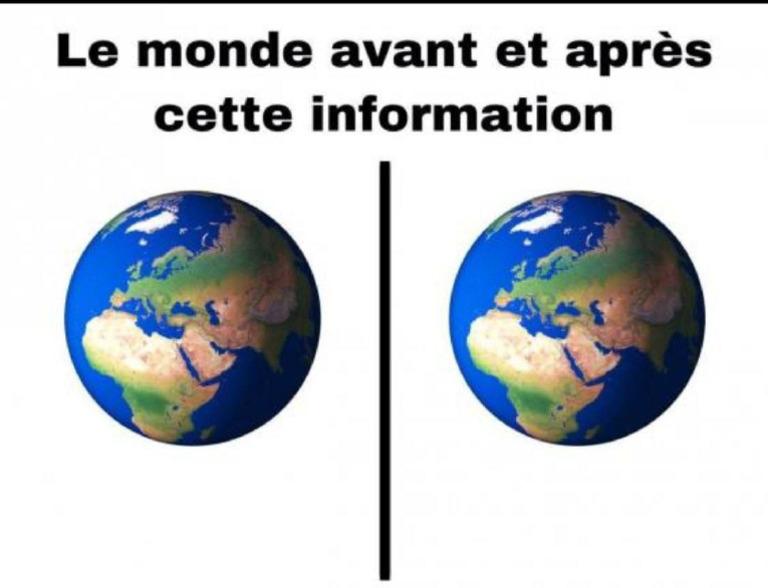 PDF Phoenix 20241118 181740 | PDF