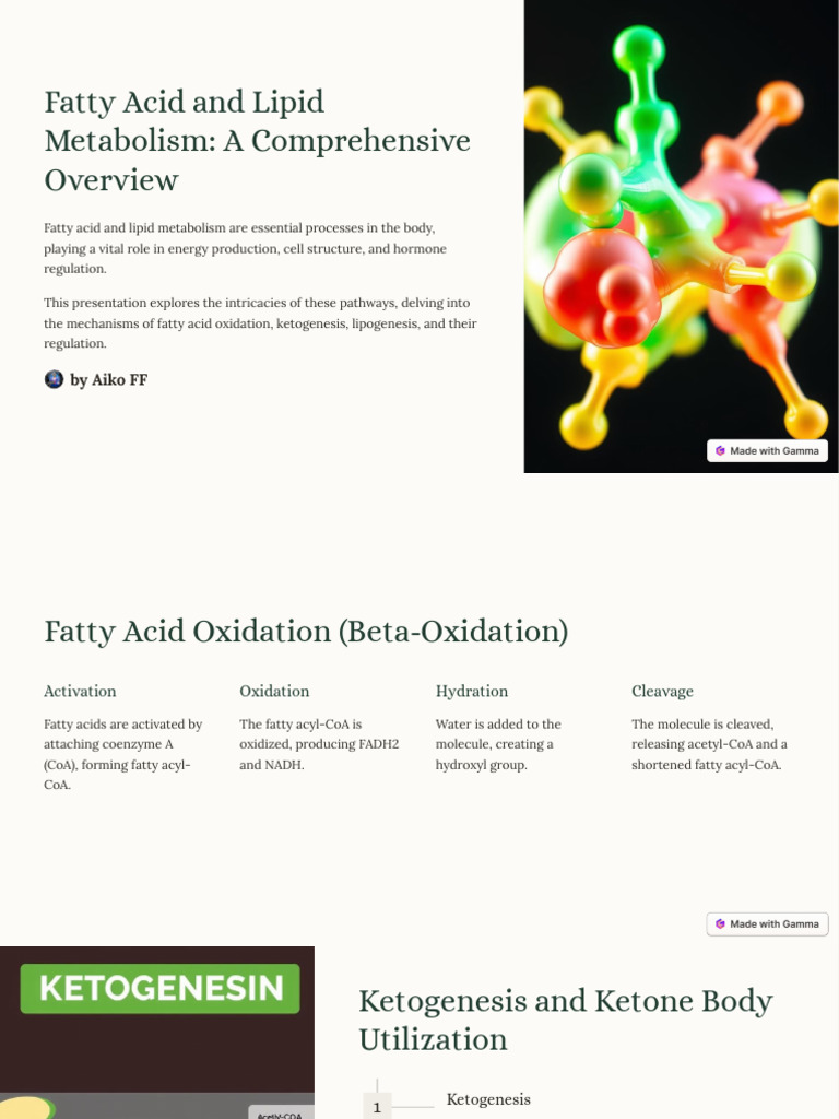 Fatty Acid and Lipid Metabolism A Comprehensive Overview | PDF ...
