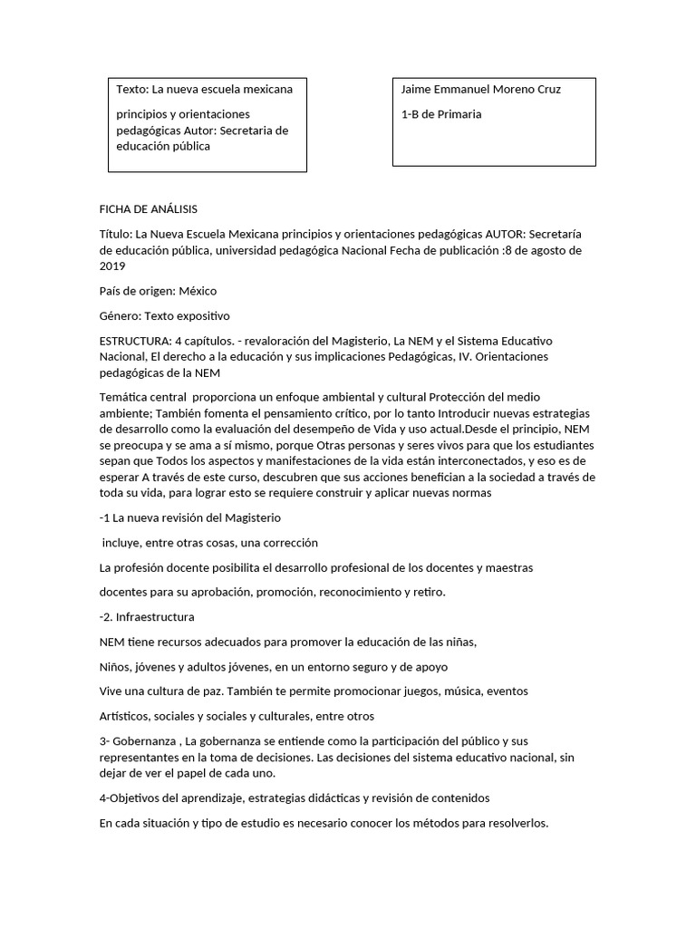 Ficha de Análisis NEM | PDF | Maestros | Educación Secundaria