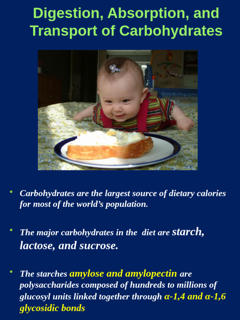 5.cho Digetion | PDF | Carbohydrates | Digestion