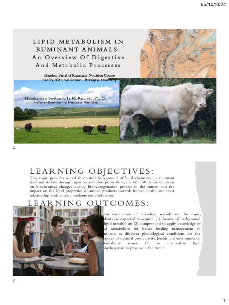 Lipid Metabolism in Ruminants Overview | PDF | Fatty Acid | Lipid