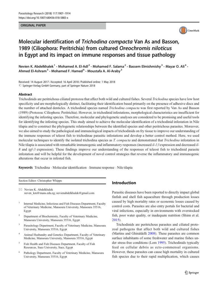 Molecular Identification of Trichodina Compacta | PDF | Polymerase ...