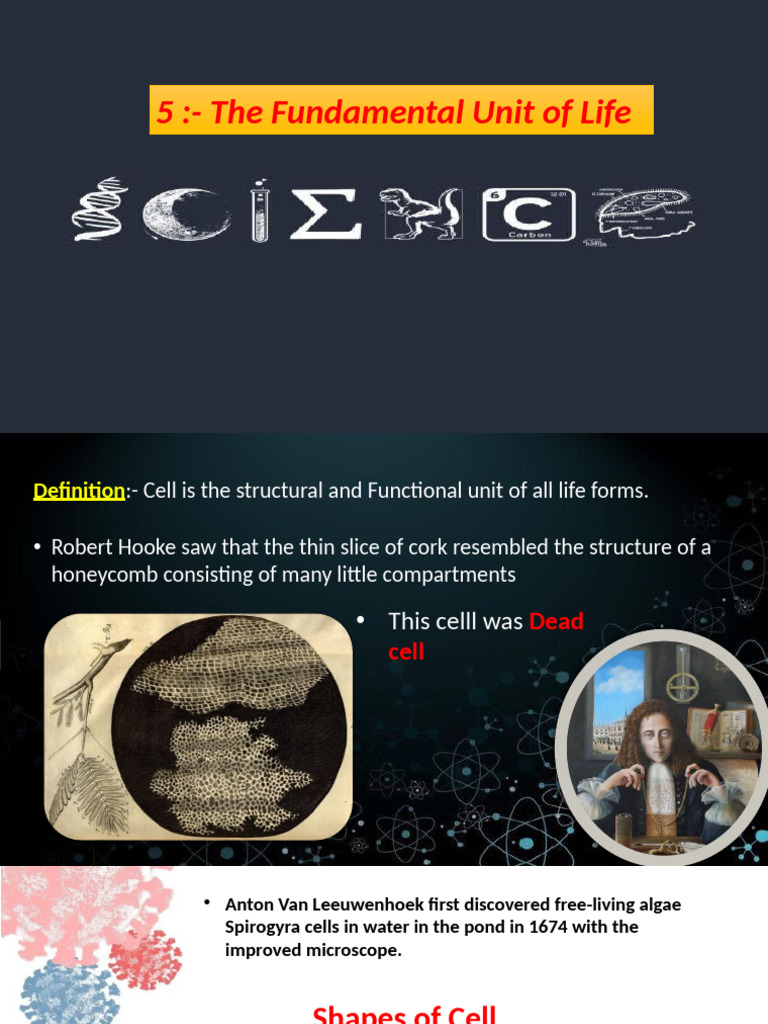 Siddharaj Sinh Presentation | PDF | Endoplasmic Reticulum | Cell (Biology)