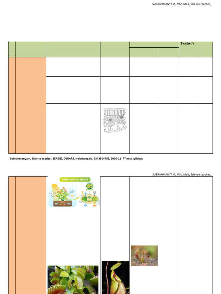 Nutrition in Plants and Animals Guide | PDF | Silk | Nutrition