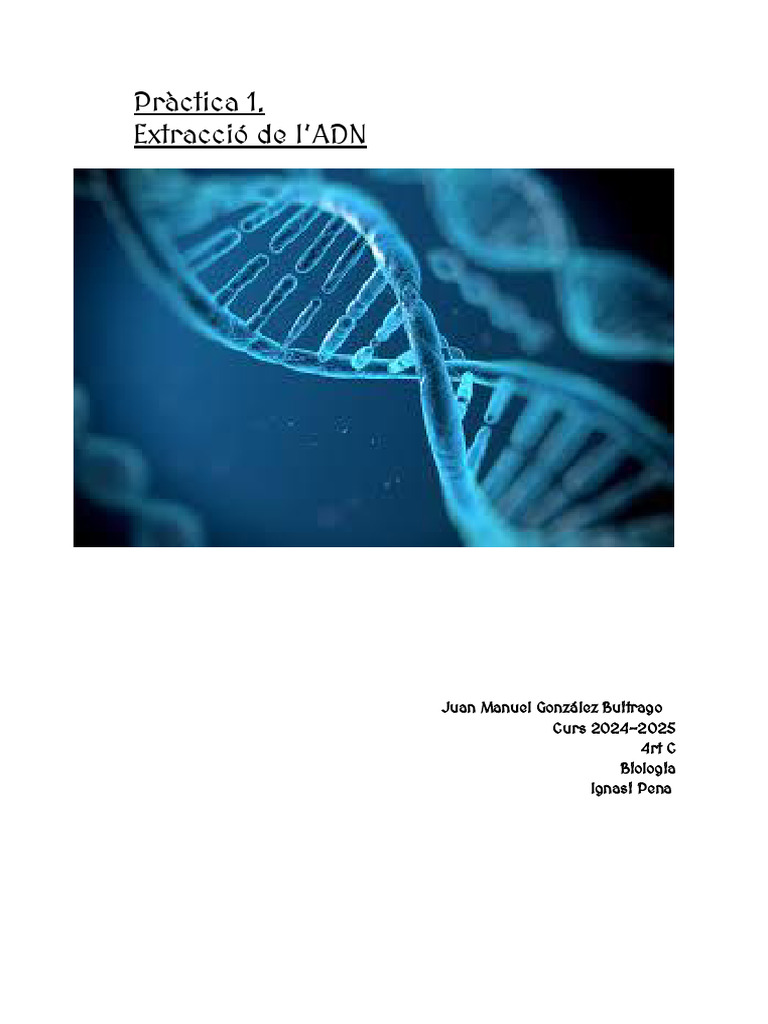 Dosiier de Practiques | PDF