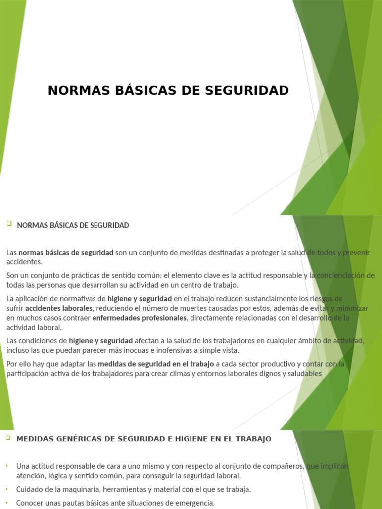 Normas Básicas de Seguridad | PDF | Seguridad y salud ocupacional | Valores