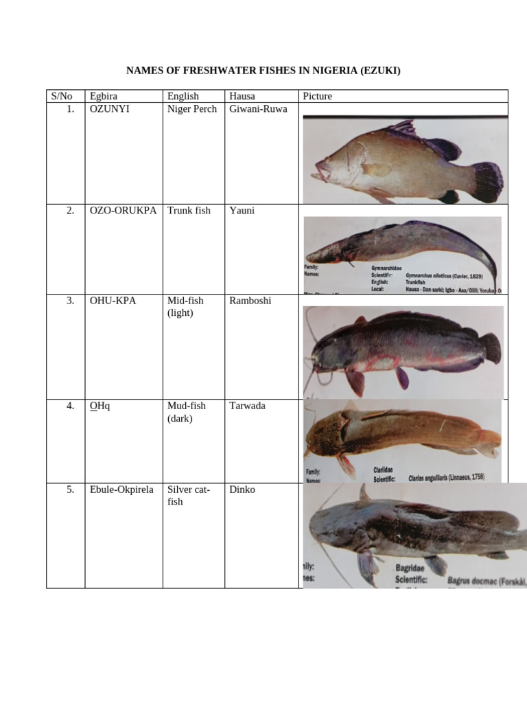 Freshwater Fish Names in Nigeria | PDF | Social Science