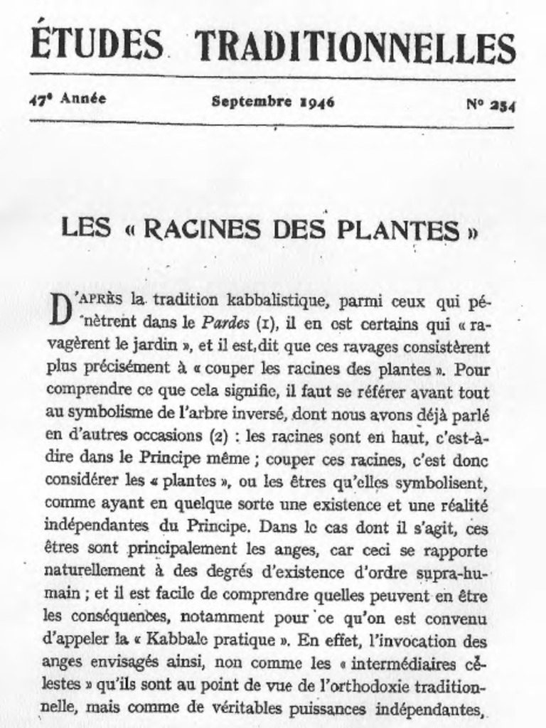 Les Racines Des Plantes | PDF