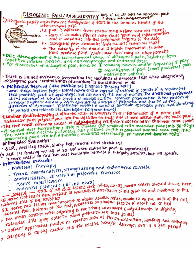 Discogenic Pain | PDF