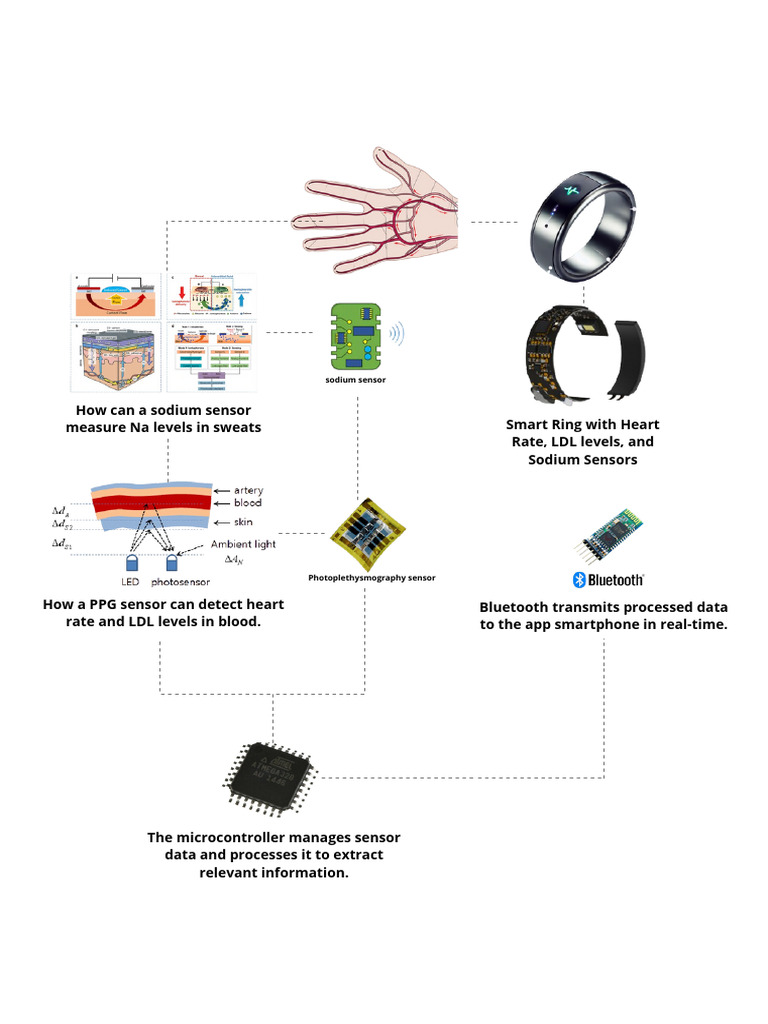 Smart Ring: Heart Rate & Sodium Sensors | PDF