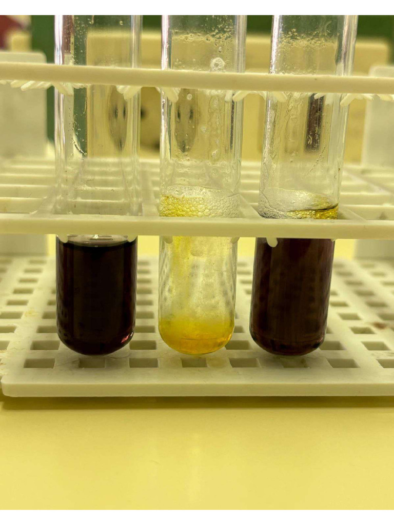 7601d4e1-c5a1-47c2-ab55-0f213c2b5dda | PDF