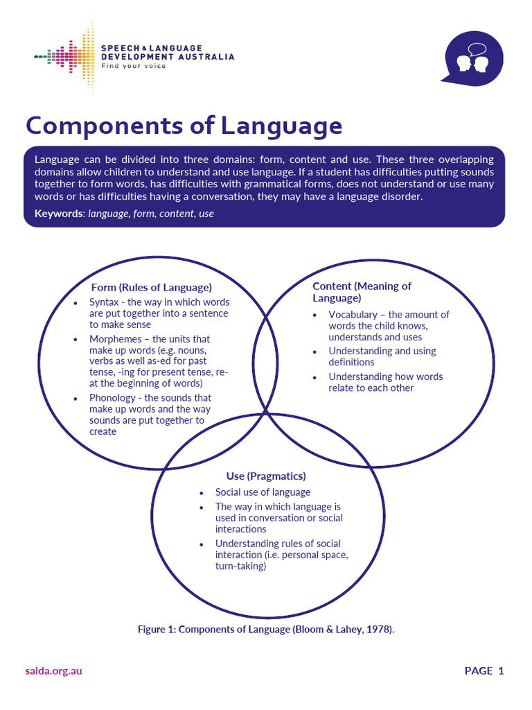SALDA Components of Language 1 | PDF | Word | Linguistics