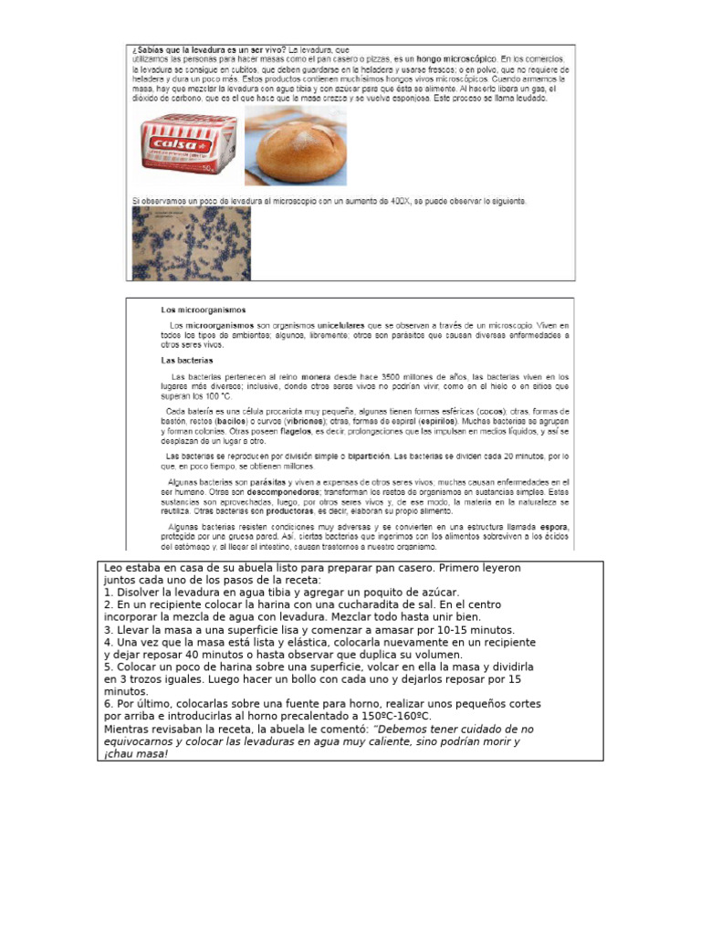 Activ. Cs. Nat 5to | PDF | Biología Celular) | Las bacterias