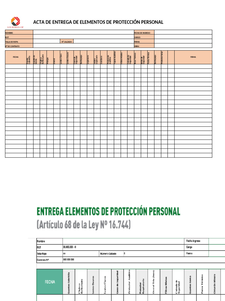 Registro de Entrega Epp | PDF