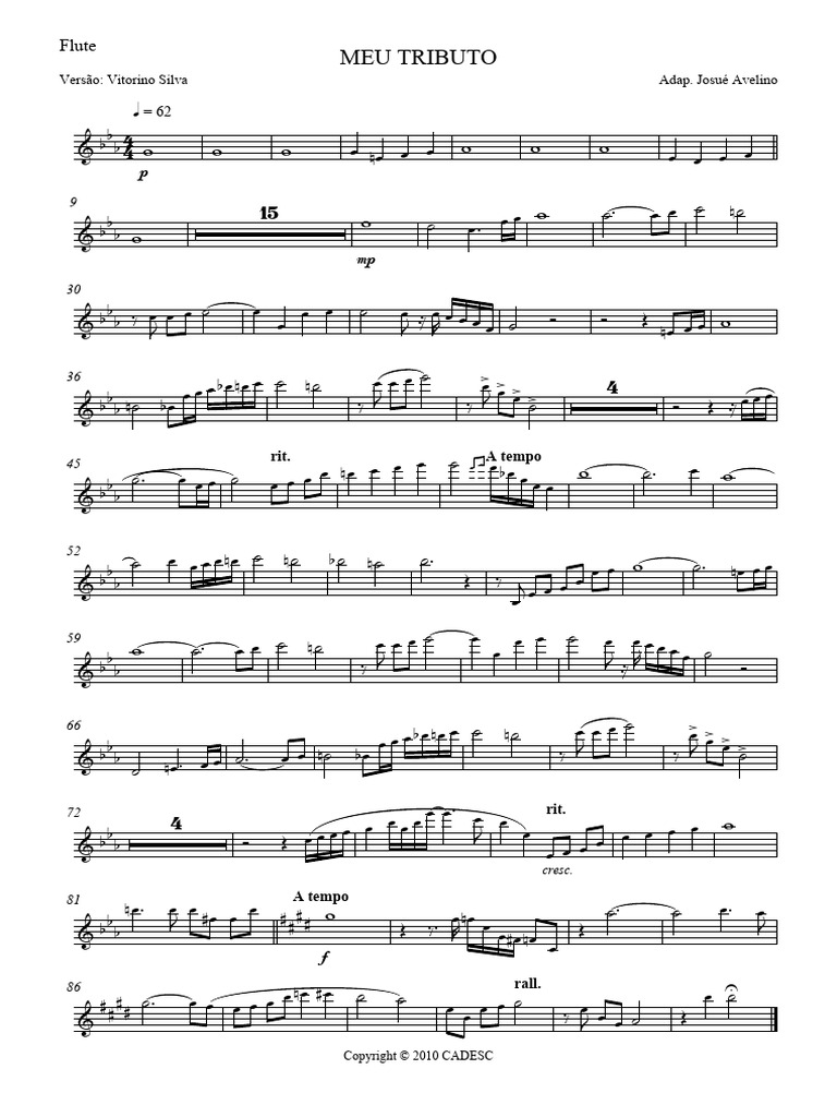 Meu Tributo 1 Flute | PDF