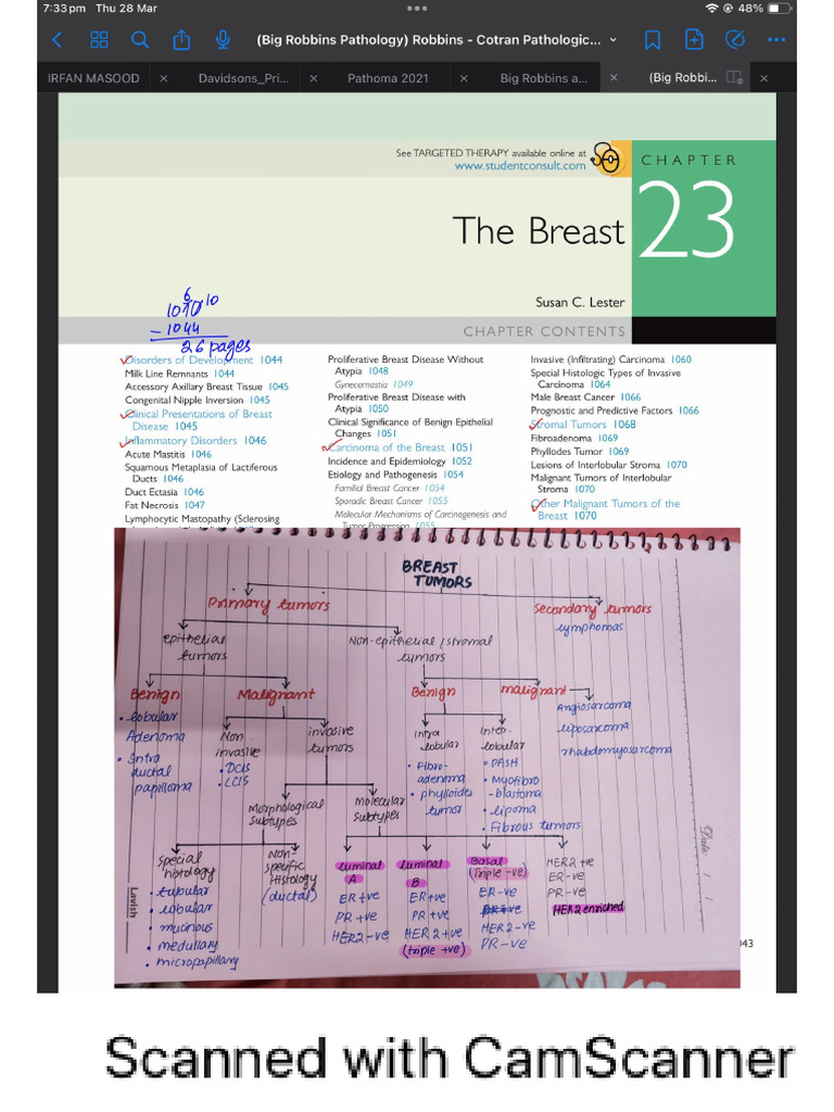 UD Breast Patho Shortlisting | PDF