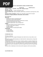 Pisana Slova | PDF