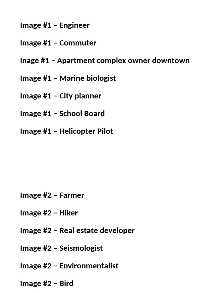 Perspective Choices | PDF