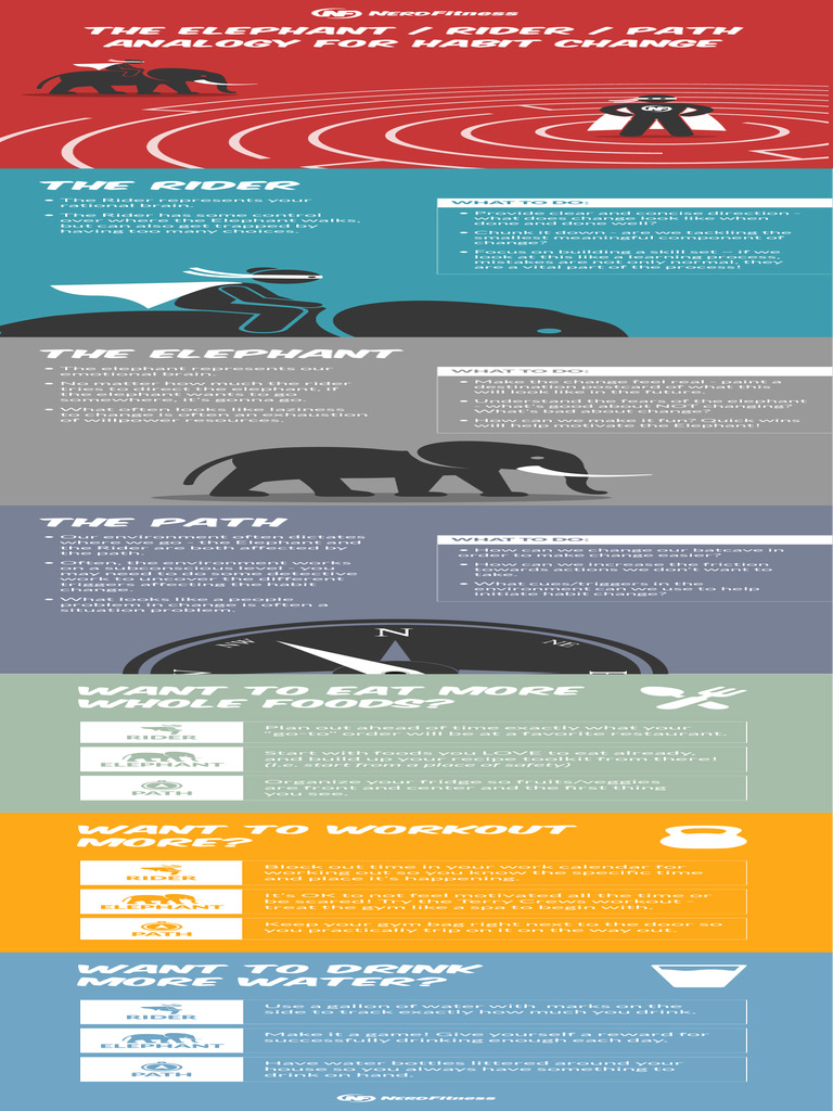 NF ElephantRider v3 - Full | PDF | Cognition | Behavioural Sciences
