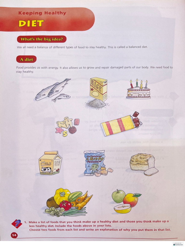 Balanced Diets in Color | PDF