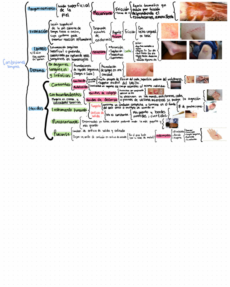 Contusiones Simples | PDF