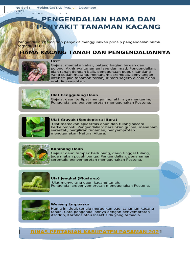 Pengendalian Hama dan Penyakit Kacang Tanah | PDF