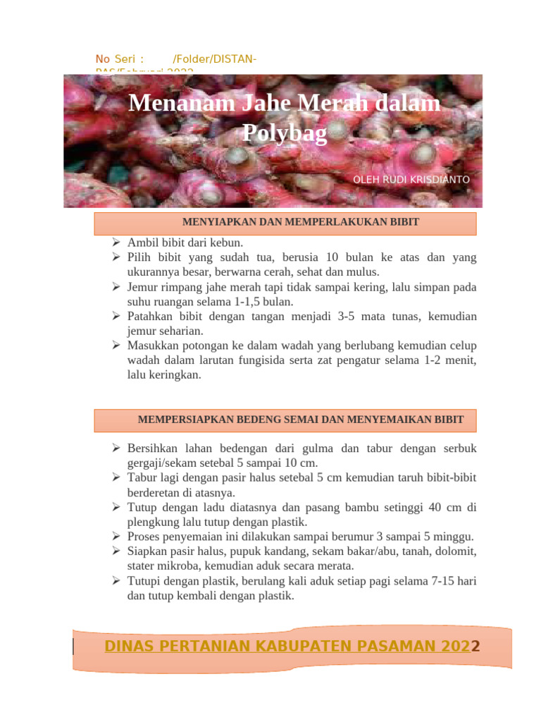 Panduan Menanam Jahe Merah di Polybag | PDF