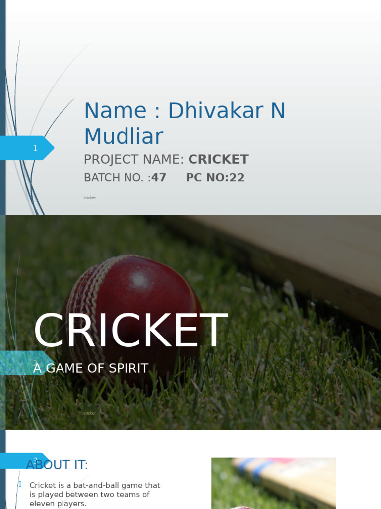 Cricket Assignment | PDF | Cricket | England Cricket Team