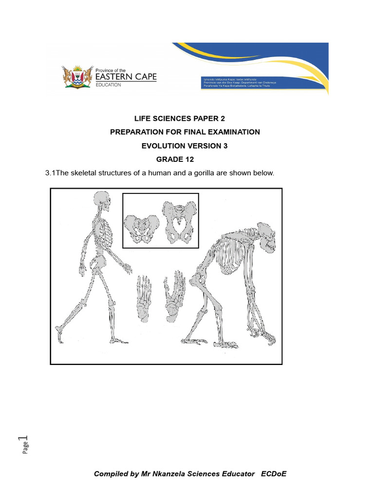 Evolution Pdf Pdf Bipedalism Homo