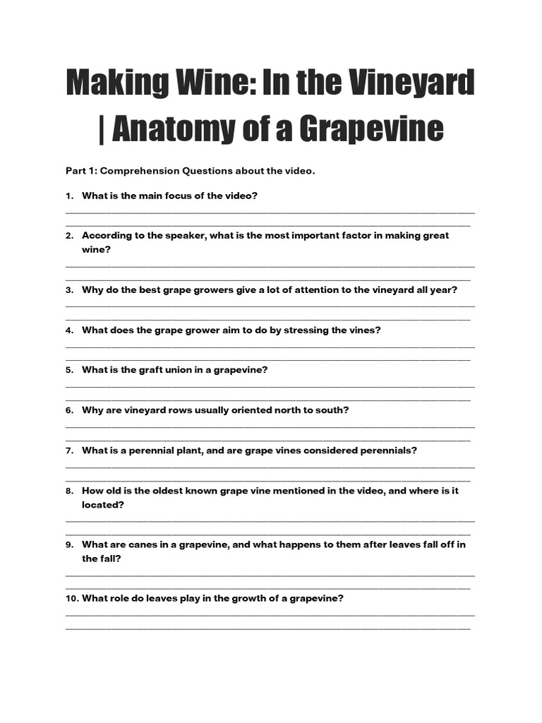 Unit 1. Activity 1. Making Wine and Grammar Practice | PDF | Vineyard ...