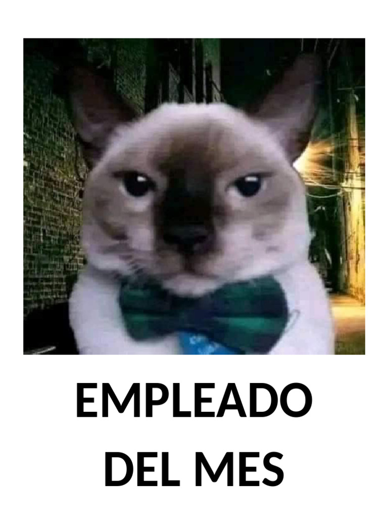 Empleado Del Mes | PDF