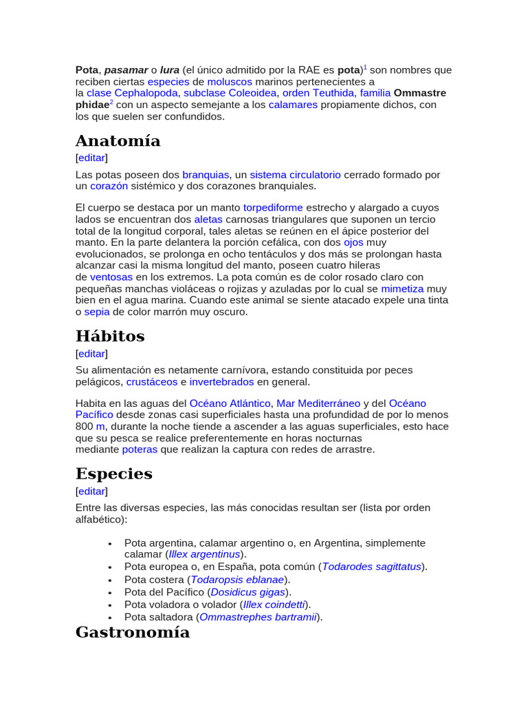Características y Gastronomía de la Pota | PDF | Moluscos
