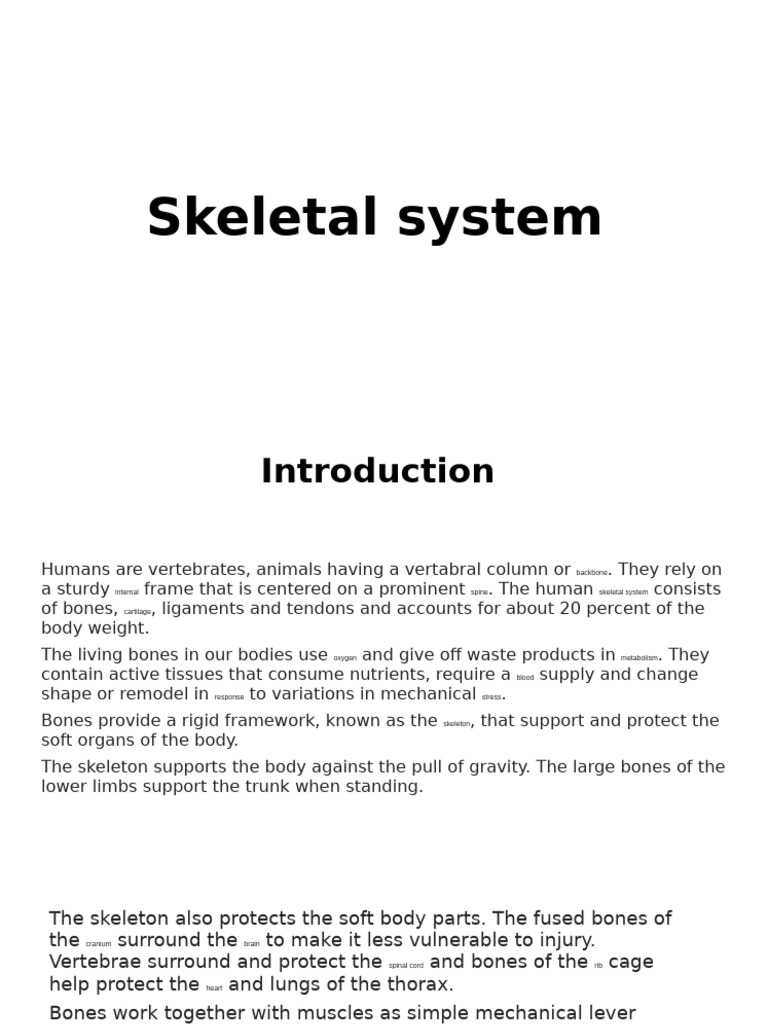 Skeletal System | PDF | Bone | Skeleton