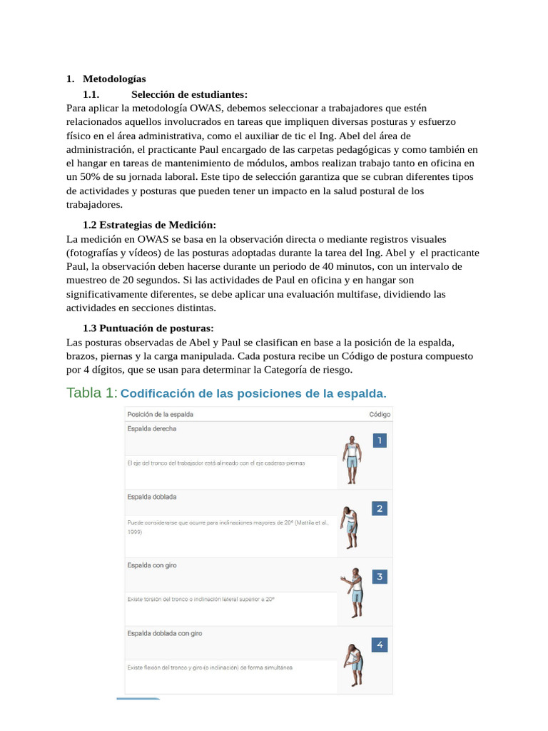 Estructura Informe Owas | PDF | Ciencia y matemáticas | Informática