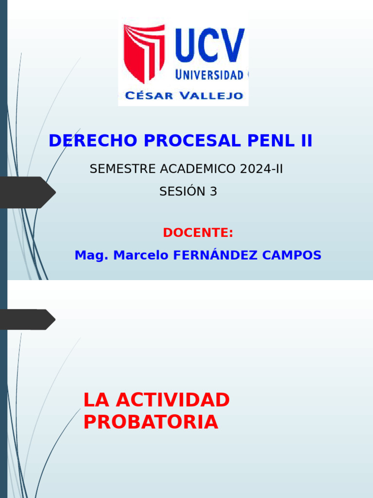 PPT-SESION 03-La Actividad Probatoria | PDF | Evidencia (ley) | Ley procesal