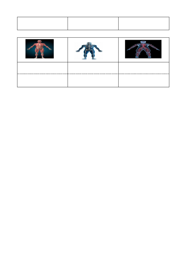 Anatomy Quiz: Body Systems Overview | PDF