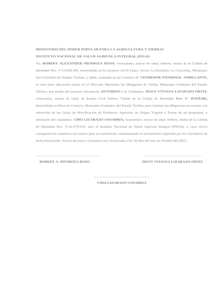 INSAI | PDF | Documento de identidad