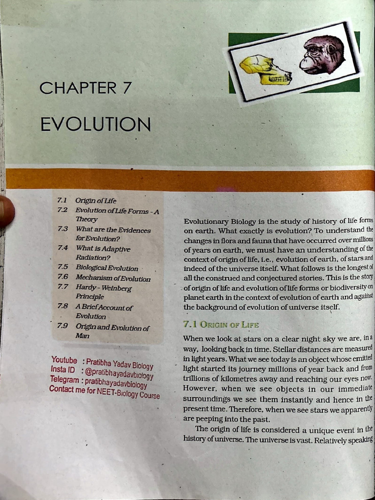 PYMam NCERTXII Ch9-Evolution | PDF