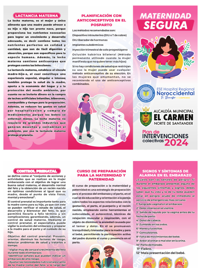 Folleto Maternidad Segura | PDF