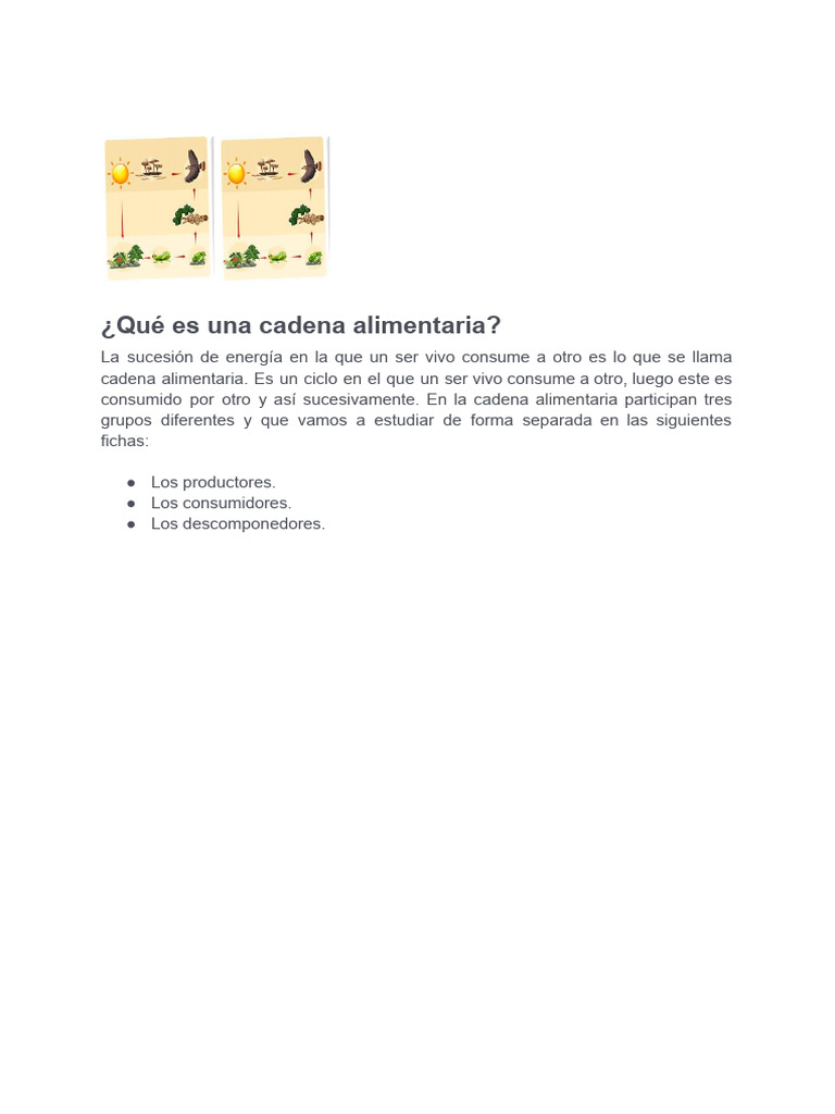 Cadena Alimentaria: Productores, Consumidores y Descomponedores | PDF