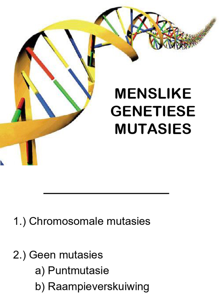 04b Mutasies | PDF