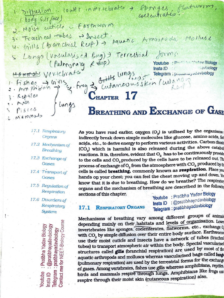 PYMam NCERTXI Ch17-Breathing and Exchange of Gases | PDF | Respiratory System | Breathing