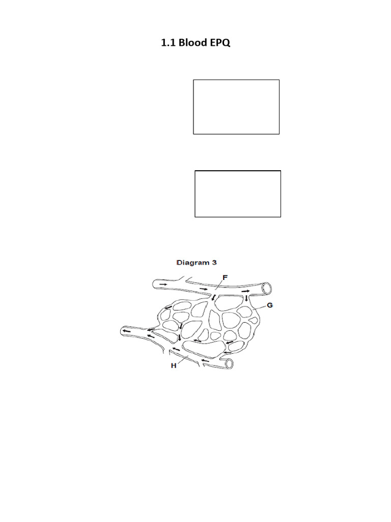 Y8 Bio Cho1 t01 Epqs | PDF | Blood | Blood Cell