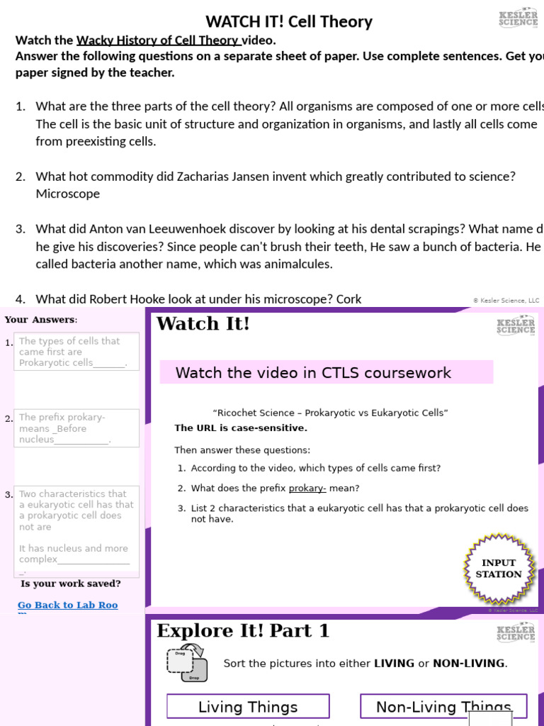 Cell Theory and Cell Types Student Lesson | PDF | Cell (Biology ...