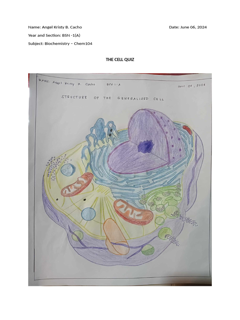 The Cell | PDF | Social Science