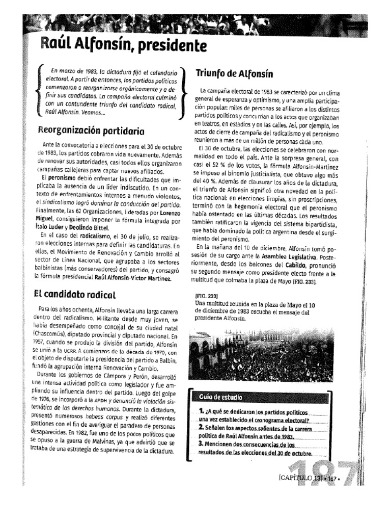 Alfonsín Presidente | PDF