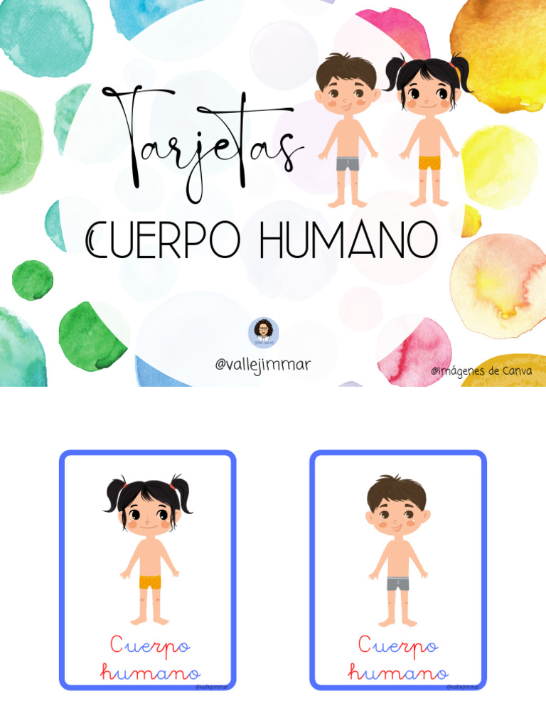 Copia de TARJETAS VOCABULARIO CUERPO HUMANO | PDF | Esqueleto | Abdomen
