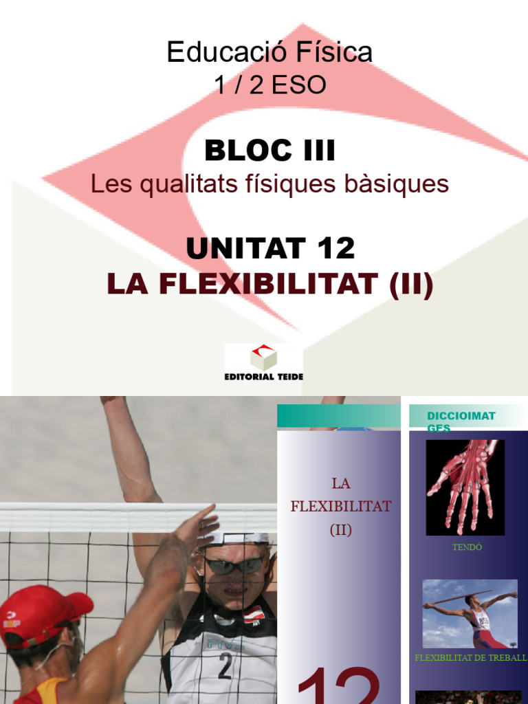 Bloc III Unitat-12 Flexibilitat II | PDF
